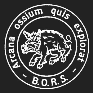 BORS 2025 – British Orthopaedic Research Society